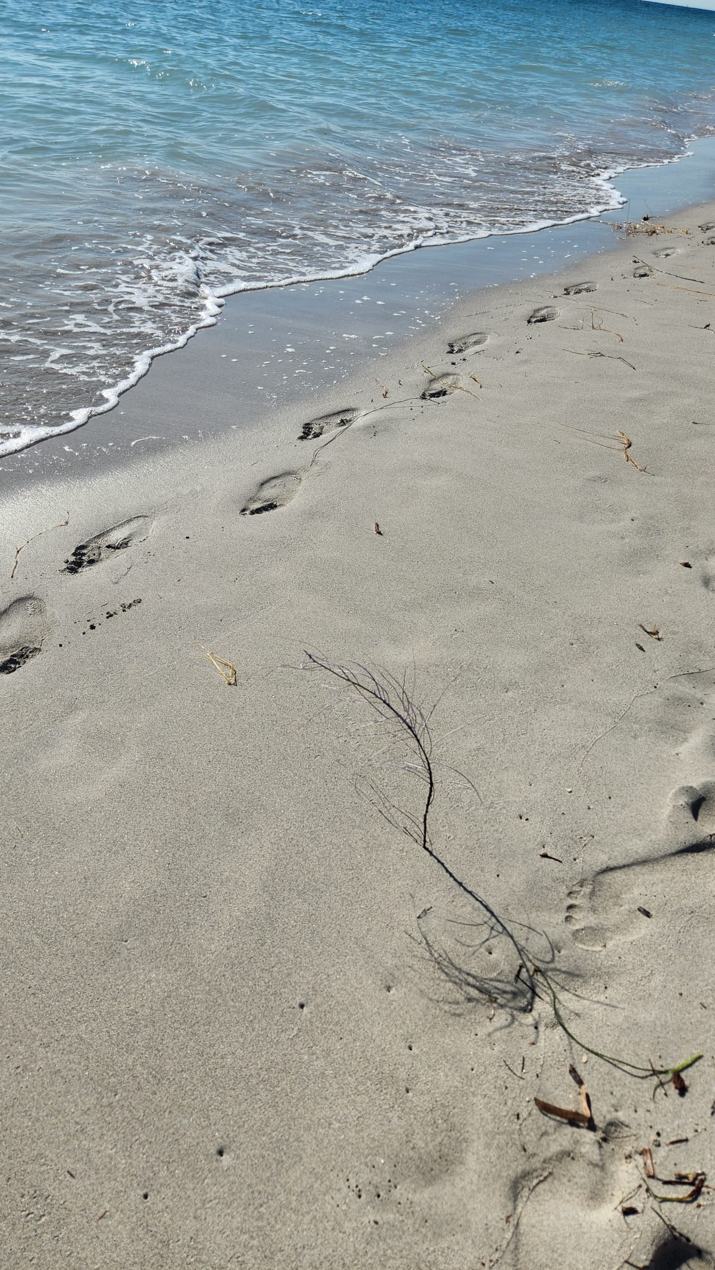 Nicole Crooks – Powerfully Transforming the world….. one breath, one ...