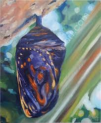 Nicole Crooks – Powerfully Transforming the world….. one breath, one ...